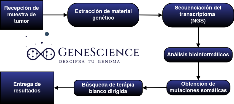 Perfil genético en cáncer – GeneScience